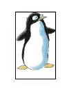 Penguins :: English for Young Learners